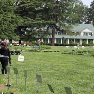 Gardens & Grounds - Reynolda