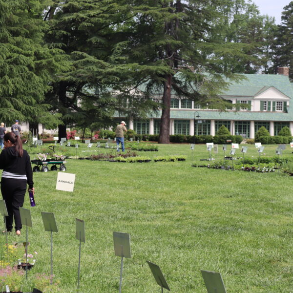Museum & Historic House - Reynolda