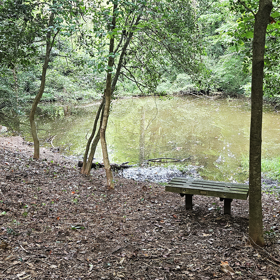 Gardens & Grounds - Reynolda